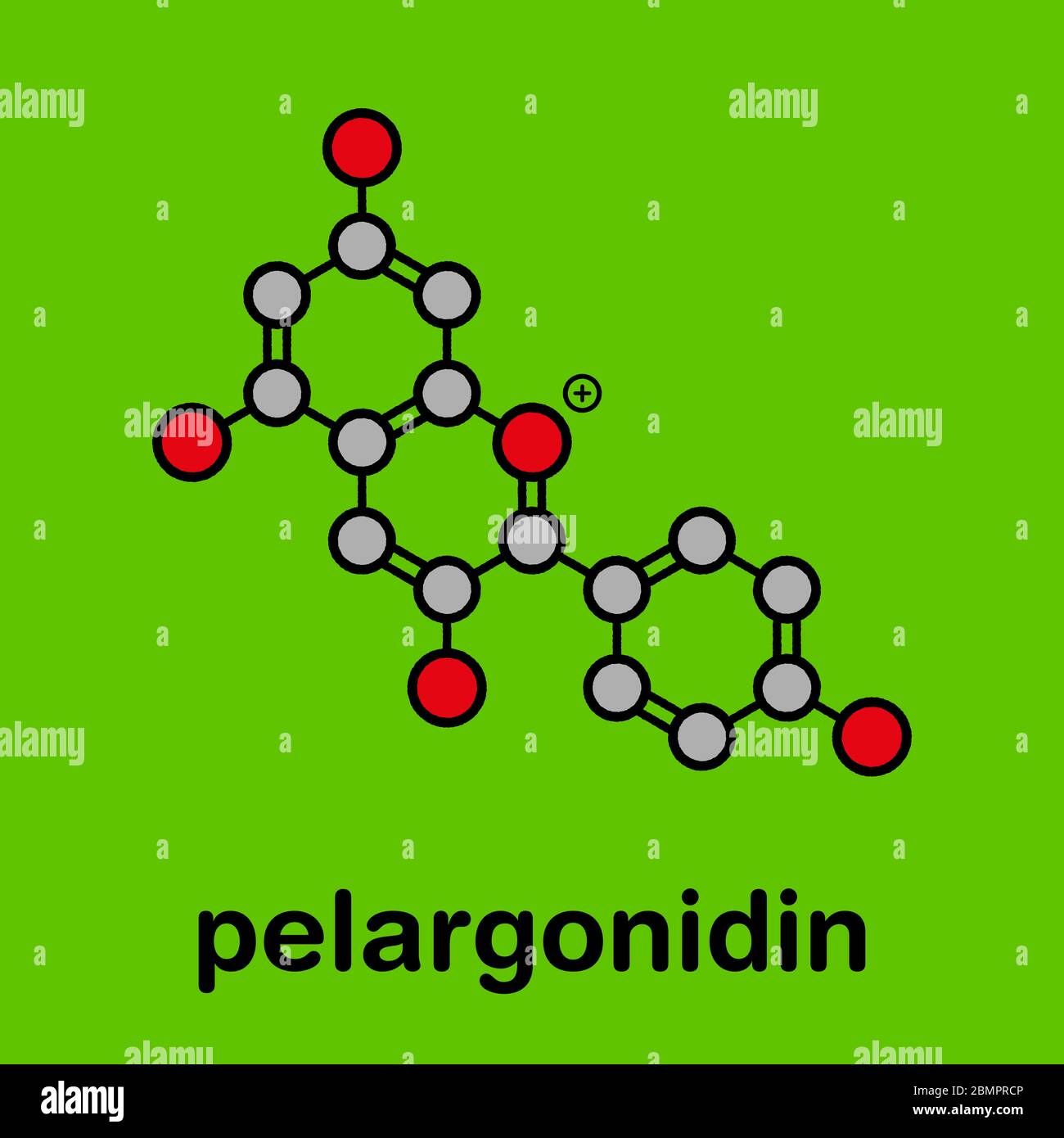 Pelargonidin pigment molecule. Stylized skeletal formula (chemical ...