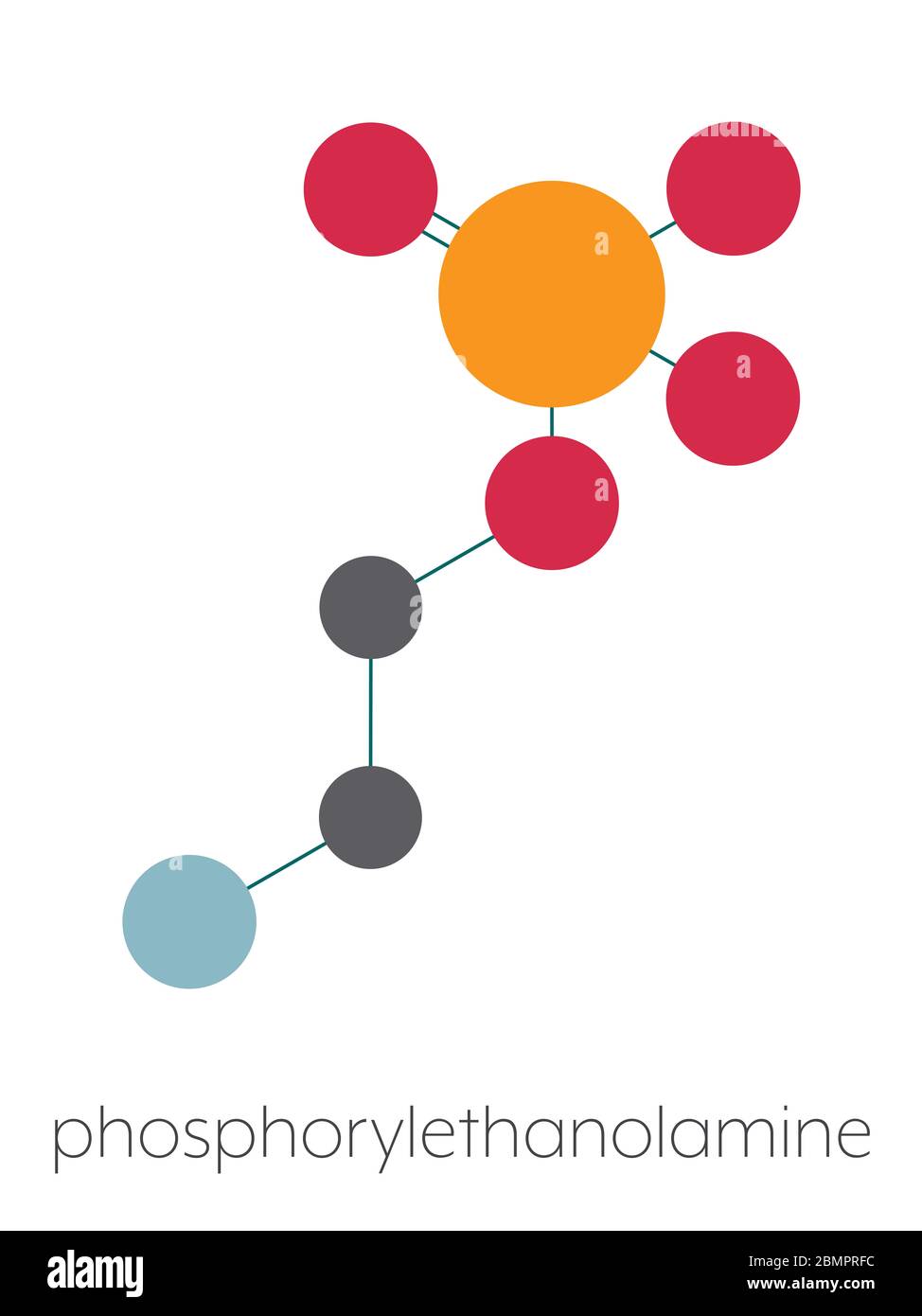 Phosphorylethanolamine (phosphoethanolamine) investigational cancer ...