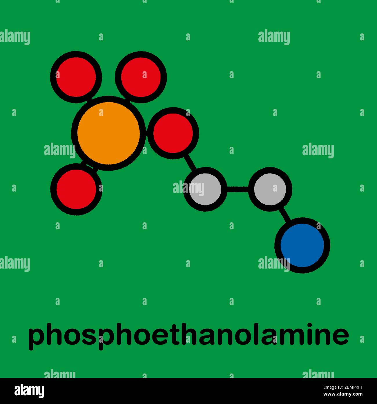Phosphorylethanolamine (phosphoethanolamine) investigational cancer ...