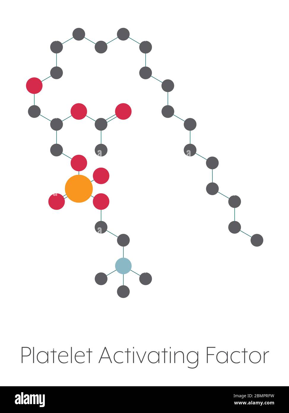 Platelet-activating factor molecule. Plays role in thrombosis ...