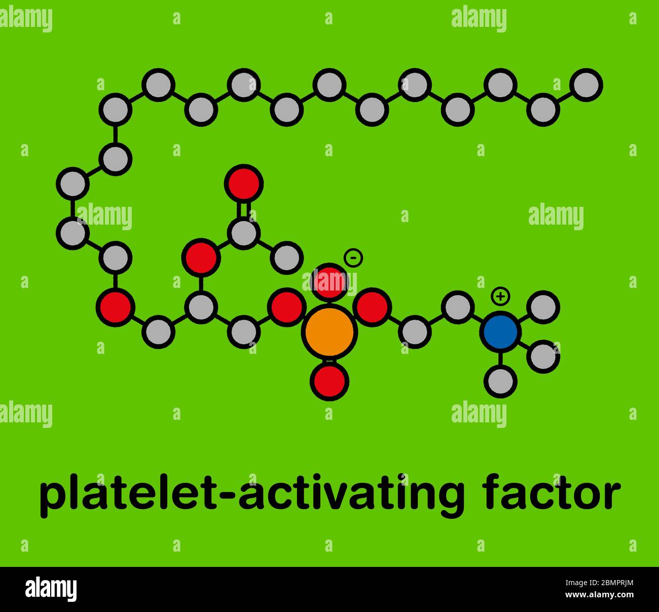 Platelet activating hi-res stock photography and images - Alamy