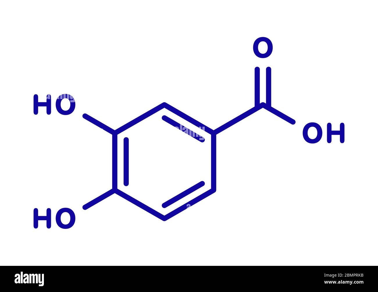 Protocatechuic acid (PCA) green tea antioxidant molecule. Skeletal ...