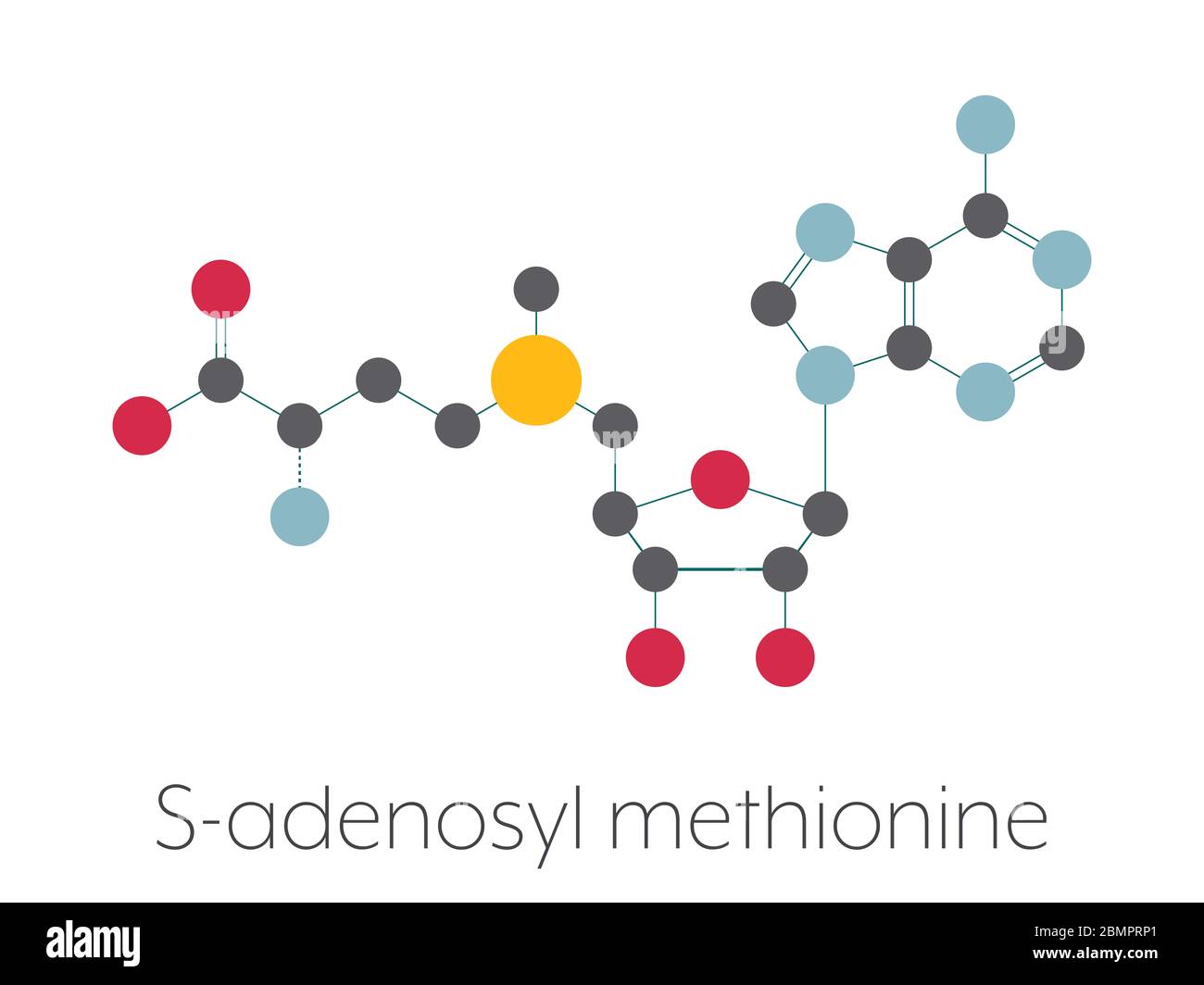 Sam molecule structure hi-res stock photography and images - Alamy