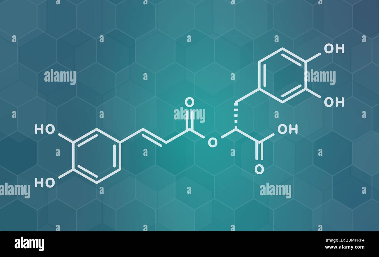 rosmarinic acid herbal antioxidant molecule. Present in a number of ...