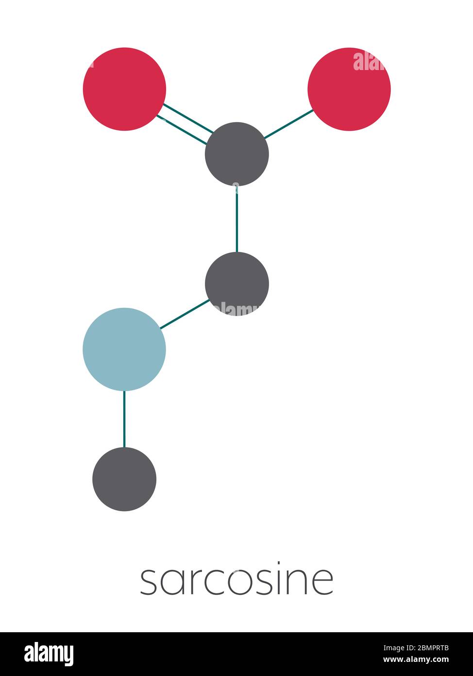 Sarcosine (N-methylglycine) molecule. Stylized skeletal formula ...