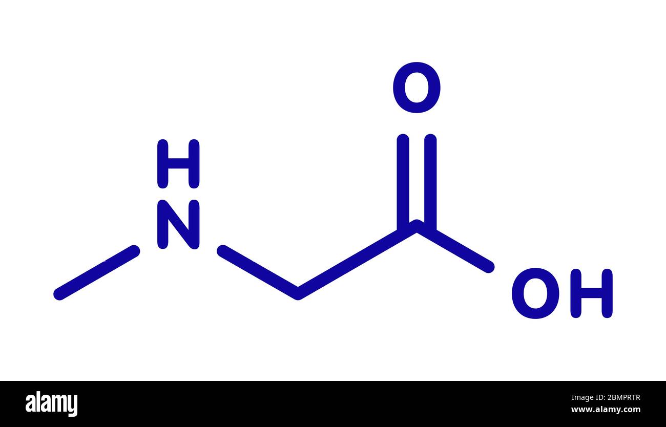 Sarcosine (N-methylglycine) molecule. Skeletal formula Stock Photo - Alamy