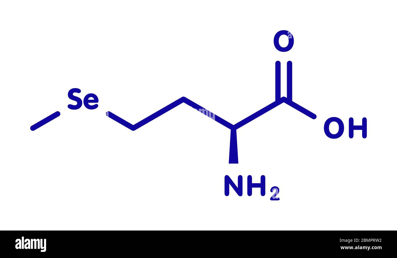 Selenomethionine amino acid molecule. Selenium containing natural ...