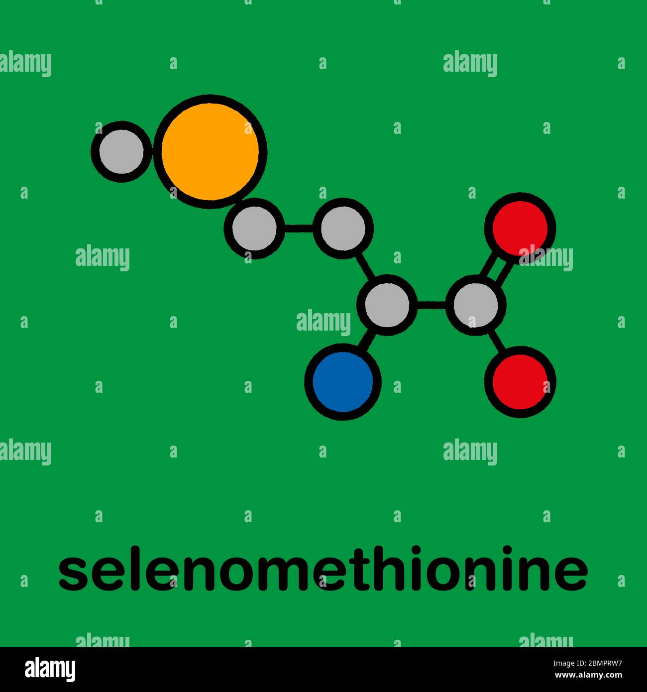 Selenomethionine amino acid molecule. Selenium containing natural ...
