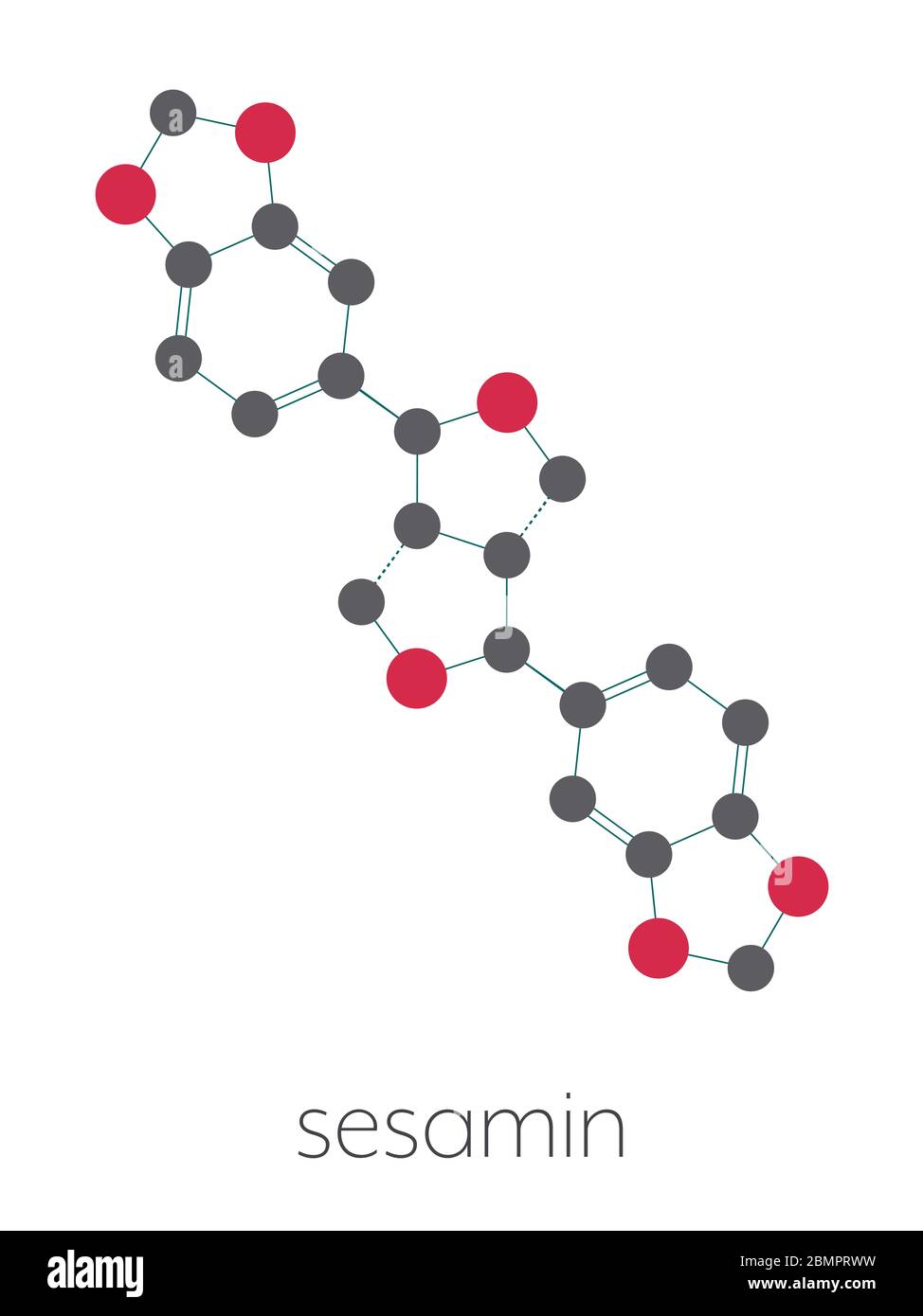 Sesamin molecule. Lignan present in sesame oil. Stylized skeletal ...