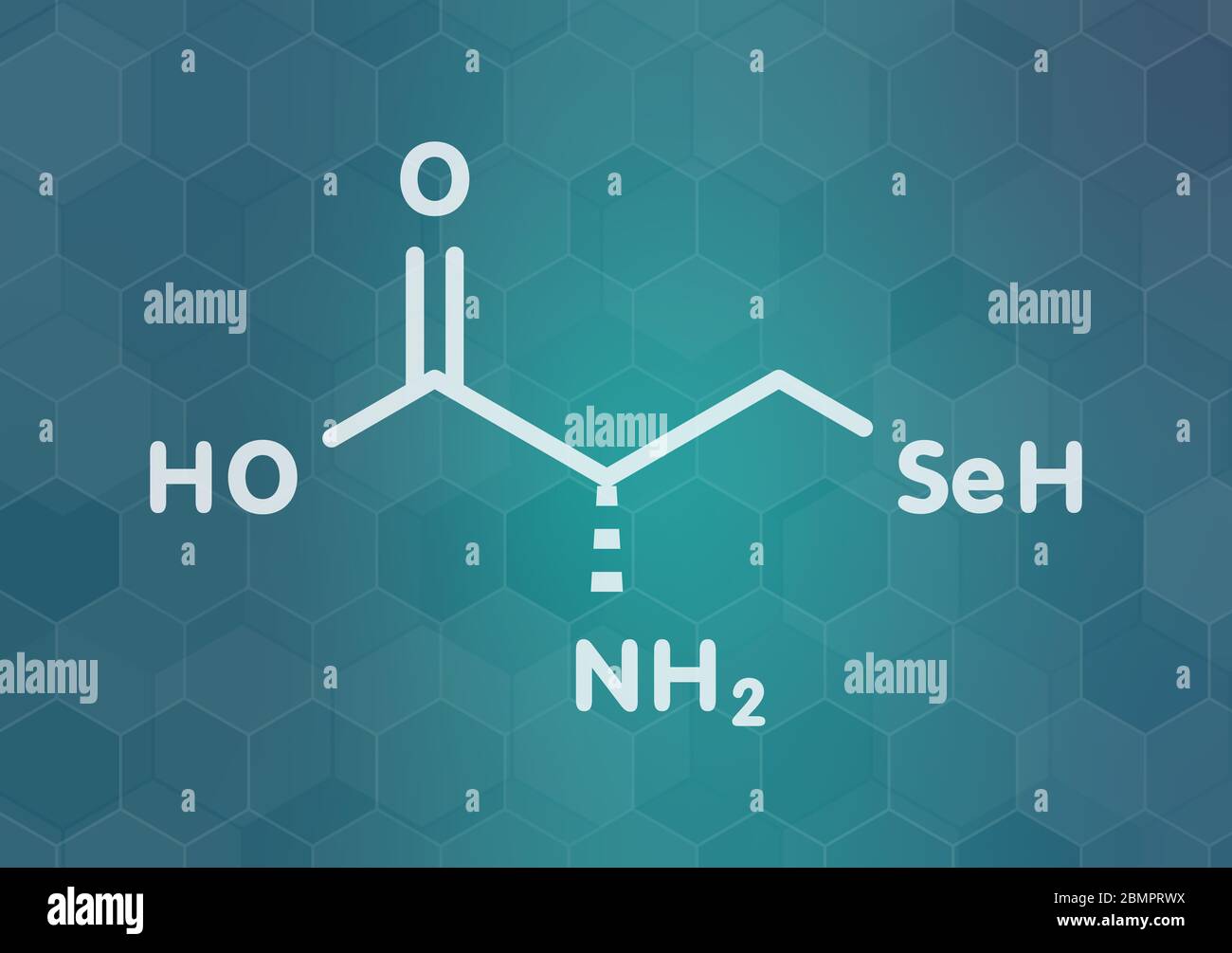 Selenocysteine (Sec, U) amino acid molecule. Called the 21st ...