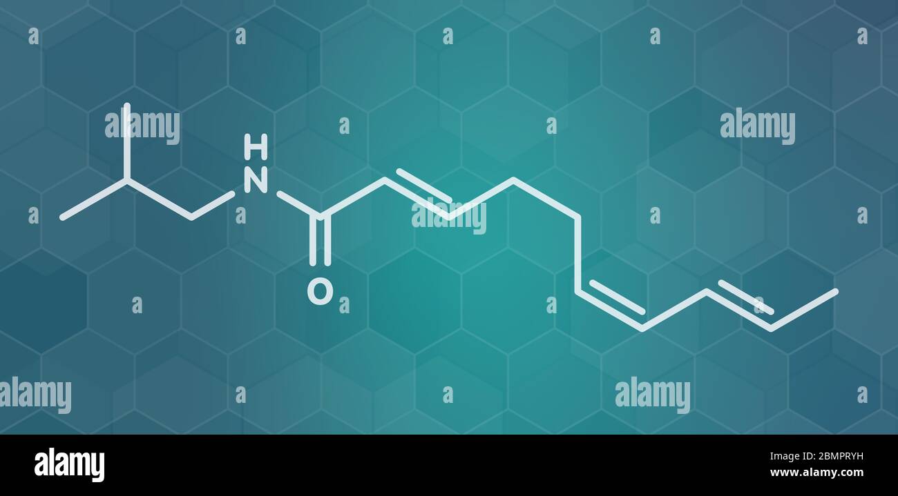 Spilanthol molecule. Local anaesthetic present in Acmella oleracea ...