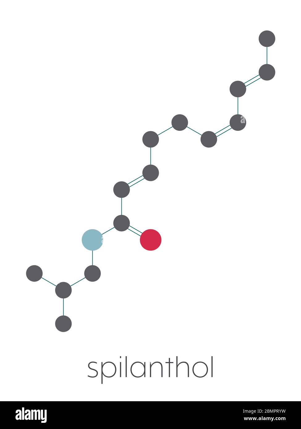 Spilanthol molecule. Local anaesthetic present in Acmella oleracea ...