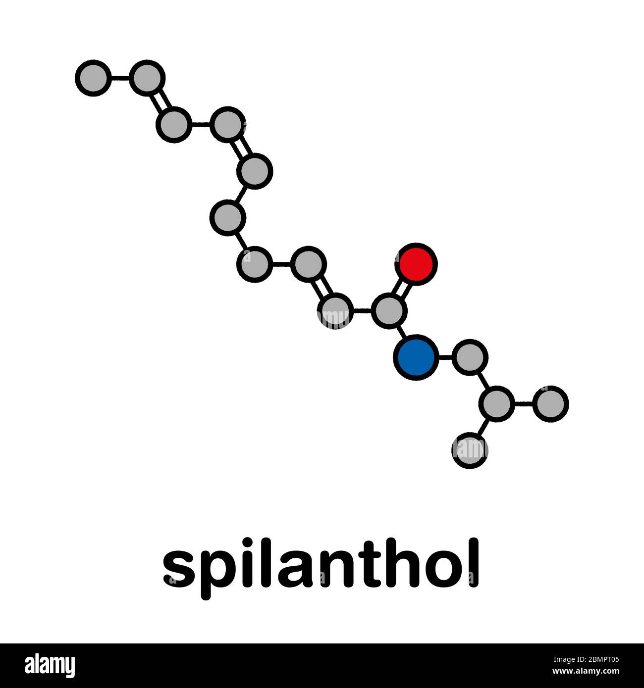 Spilanthol molecule. Local anaesthetic present in Acmella oleracea ...
