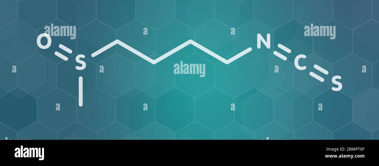 Sulforaphane cruciferous vegetable molecule. Skeletal formula Stock ...