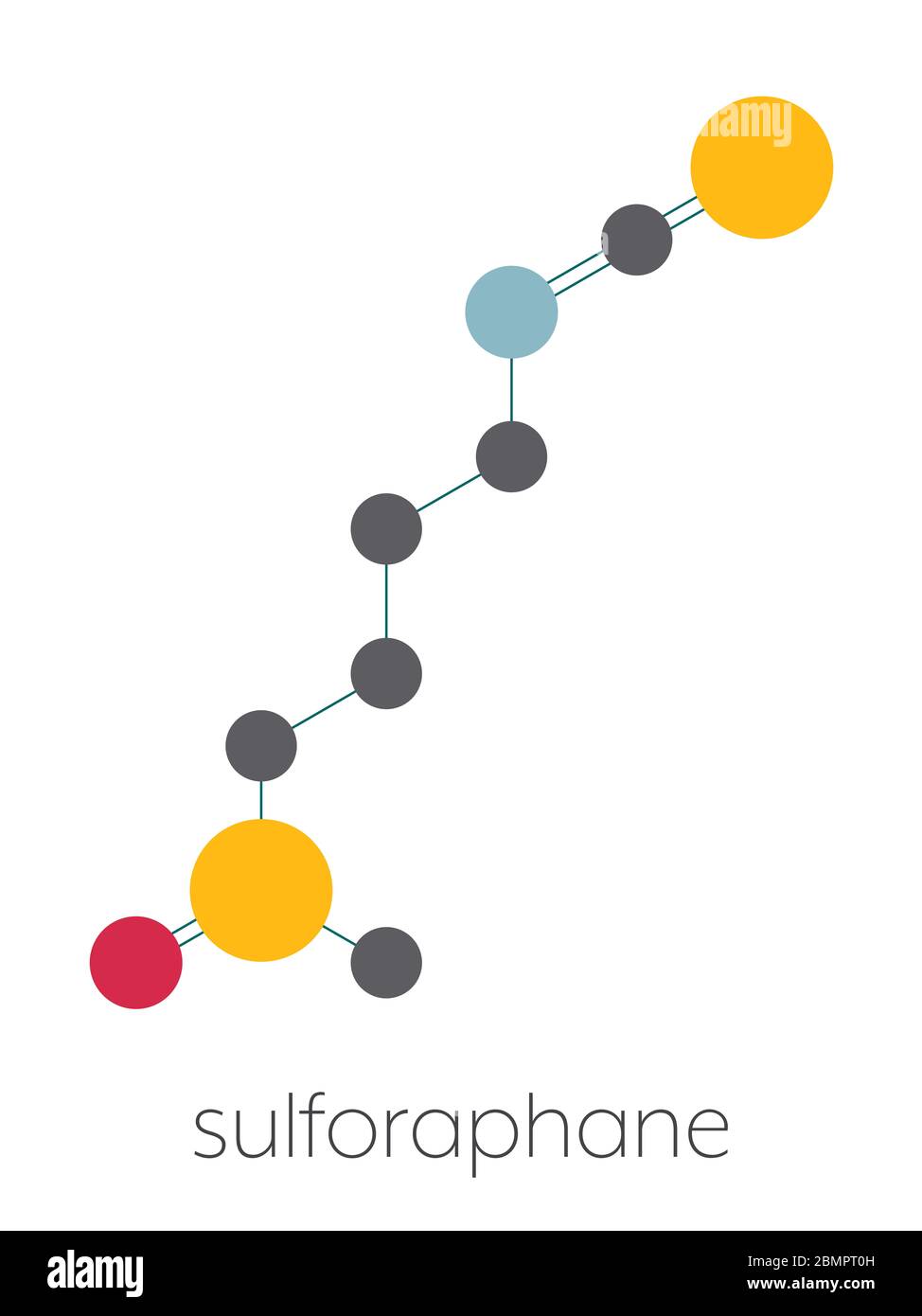 Sulforaphane cruciferous vegetable molecule. Stylized skeletal formula ...