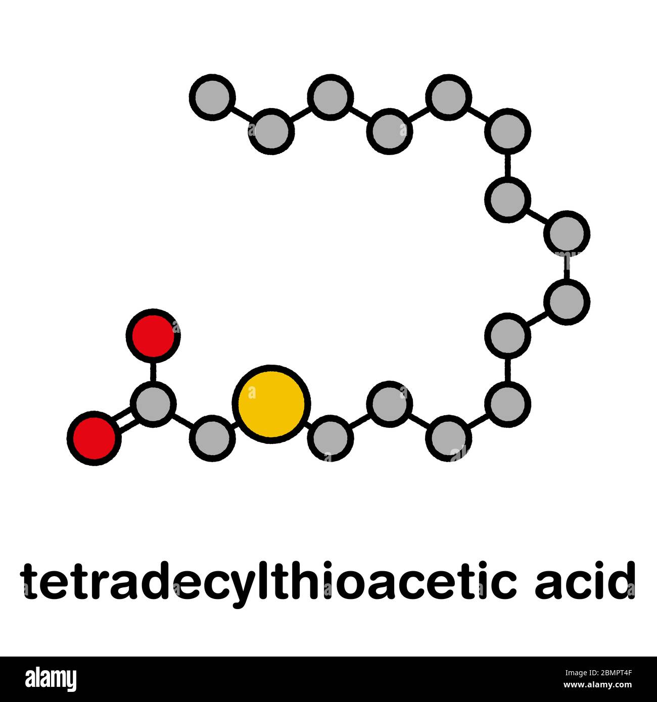Tetradecylthioacetic acid (TTA) synthetic fatty acid molecule. Stylized ...