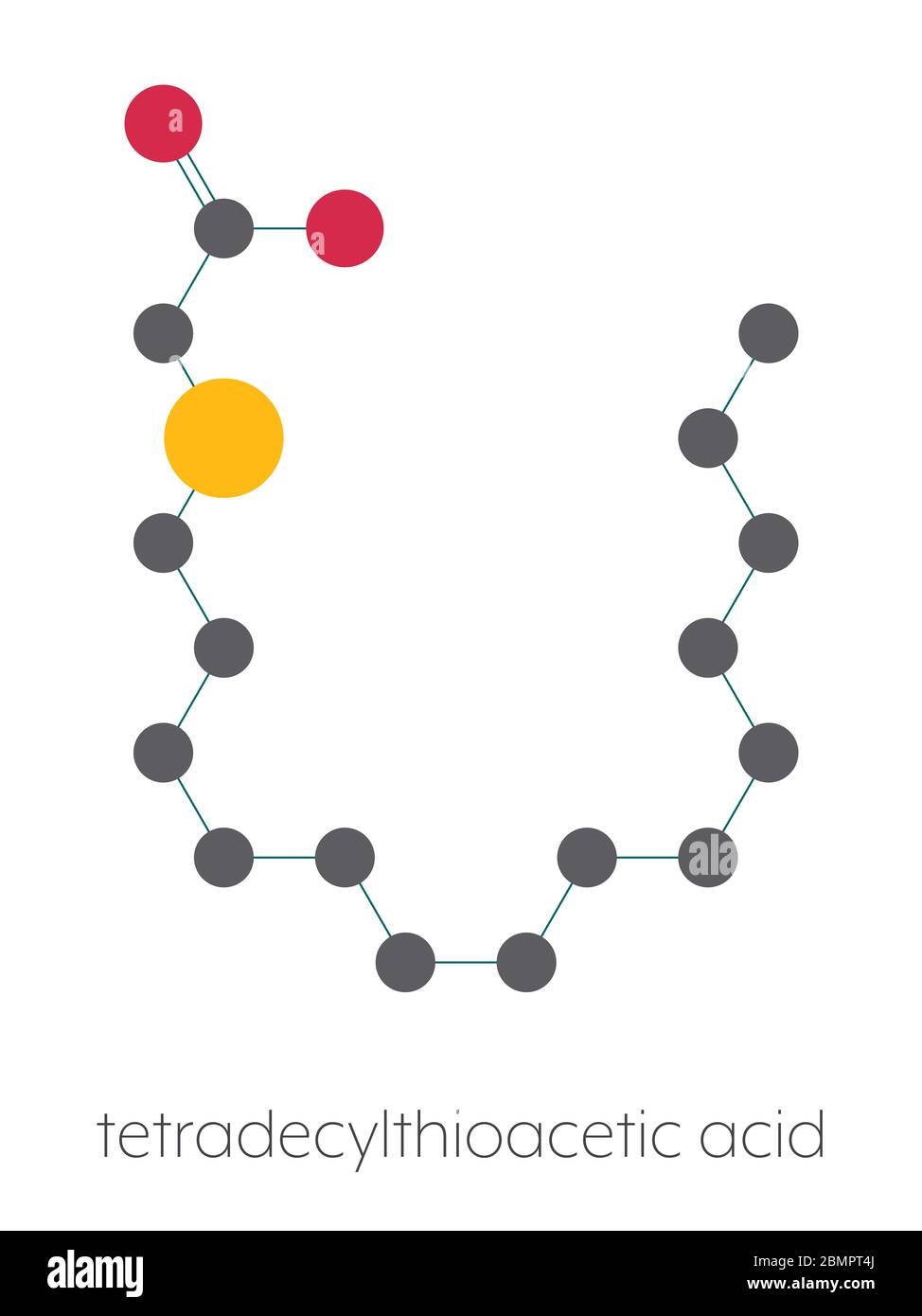 Tetradecylthioacetic acid (TTA) synthetic fatty acid molecule. Stylized ...
