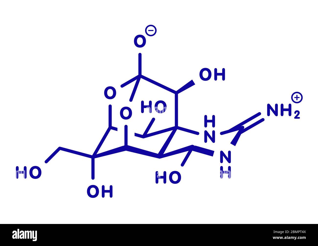 Tetrodotoxin hi-res stock photography and images - Alamy