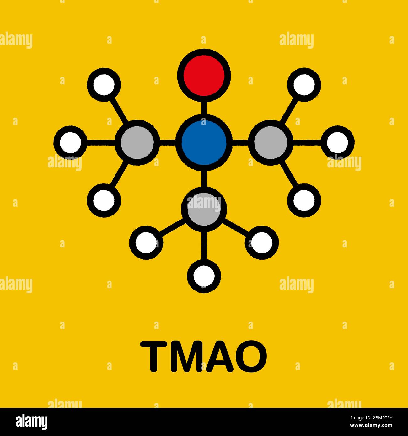 Trimethylamine N-oxide (TMAO) molecule. Stylized skeletal formula ...