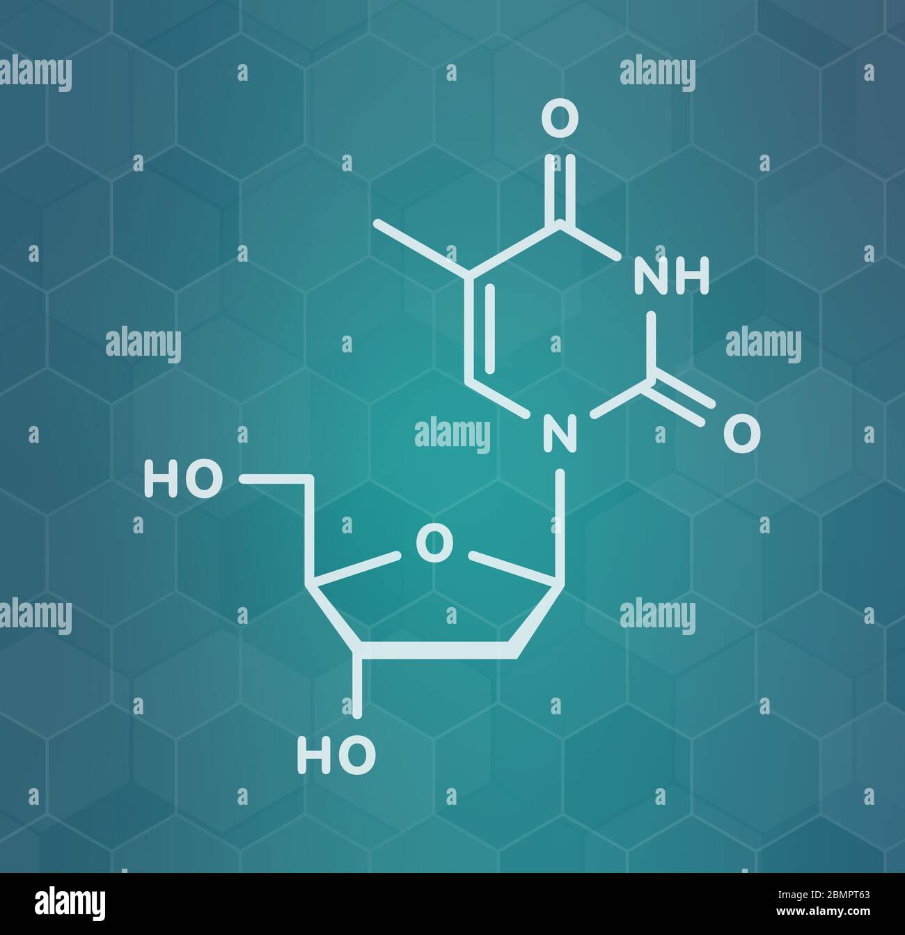 Thymidine (deoxythymidine) nucleoside molecule. DNA building block ...
