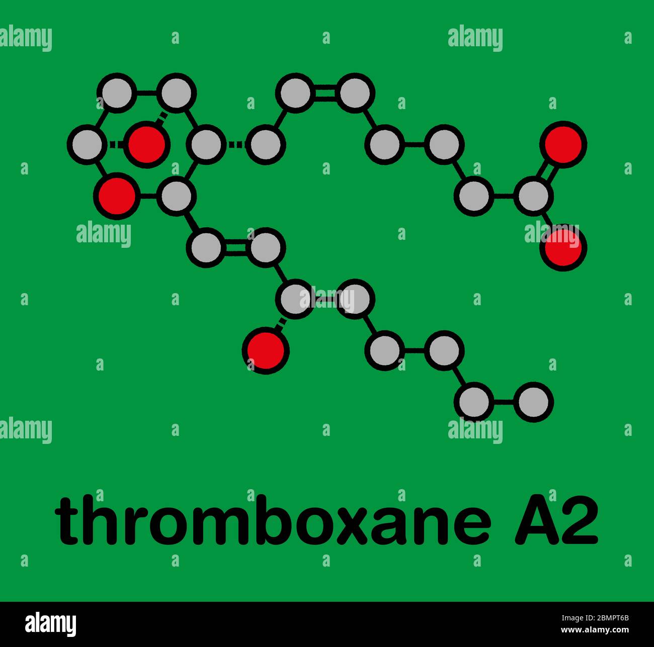 Thromboxane A2 (TXA2) molecule. Stylized skeletal formula (chemical ...
