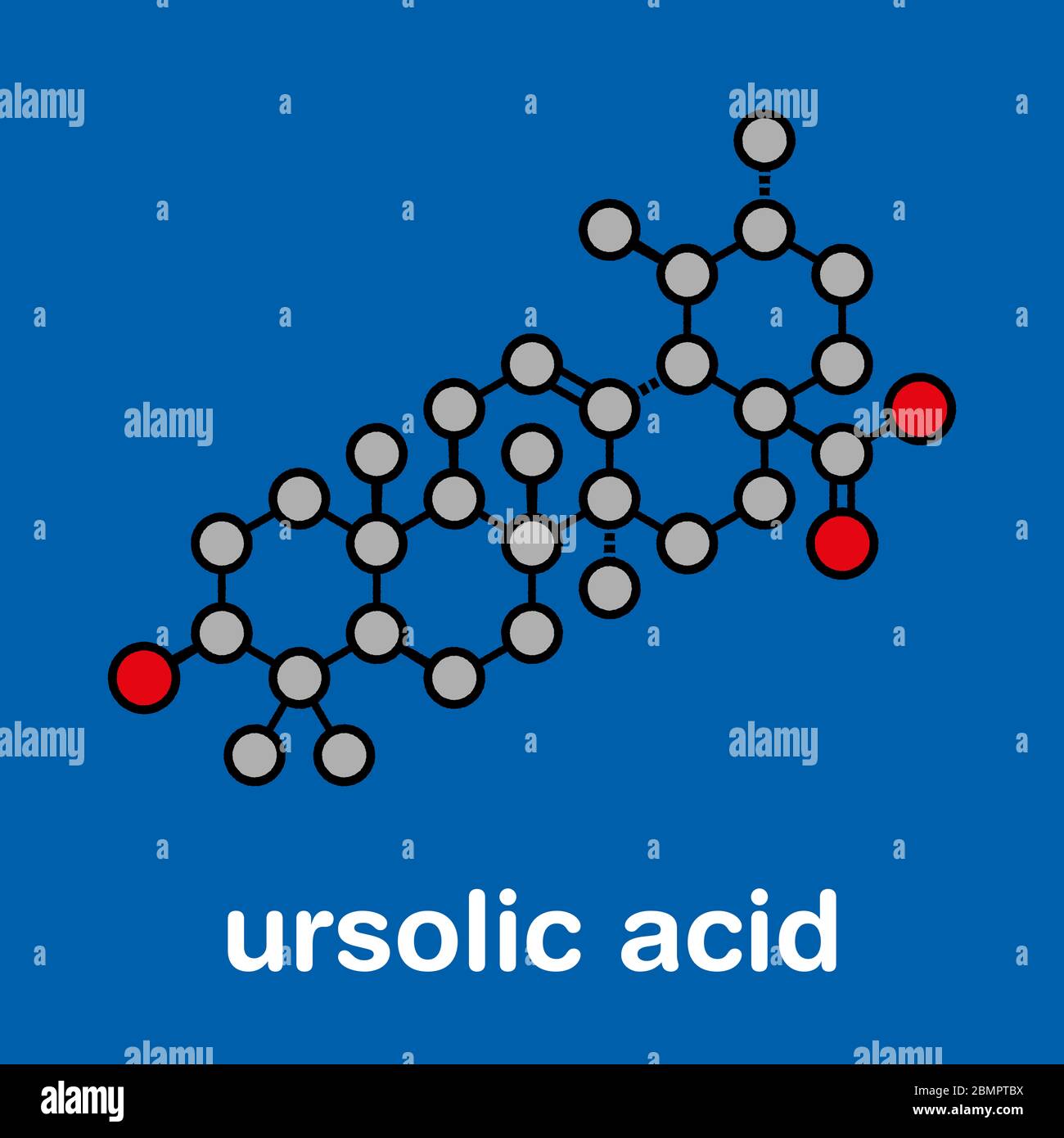 Ursolic acid molecule. Triterpenoid present in fruit peels. Stylized ...