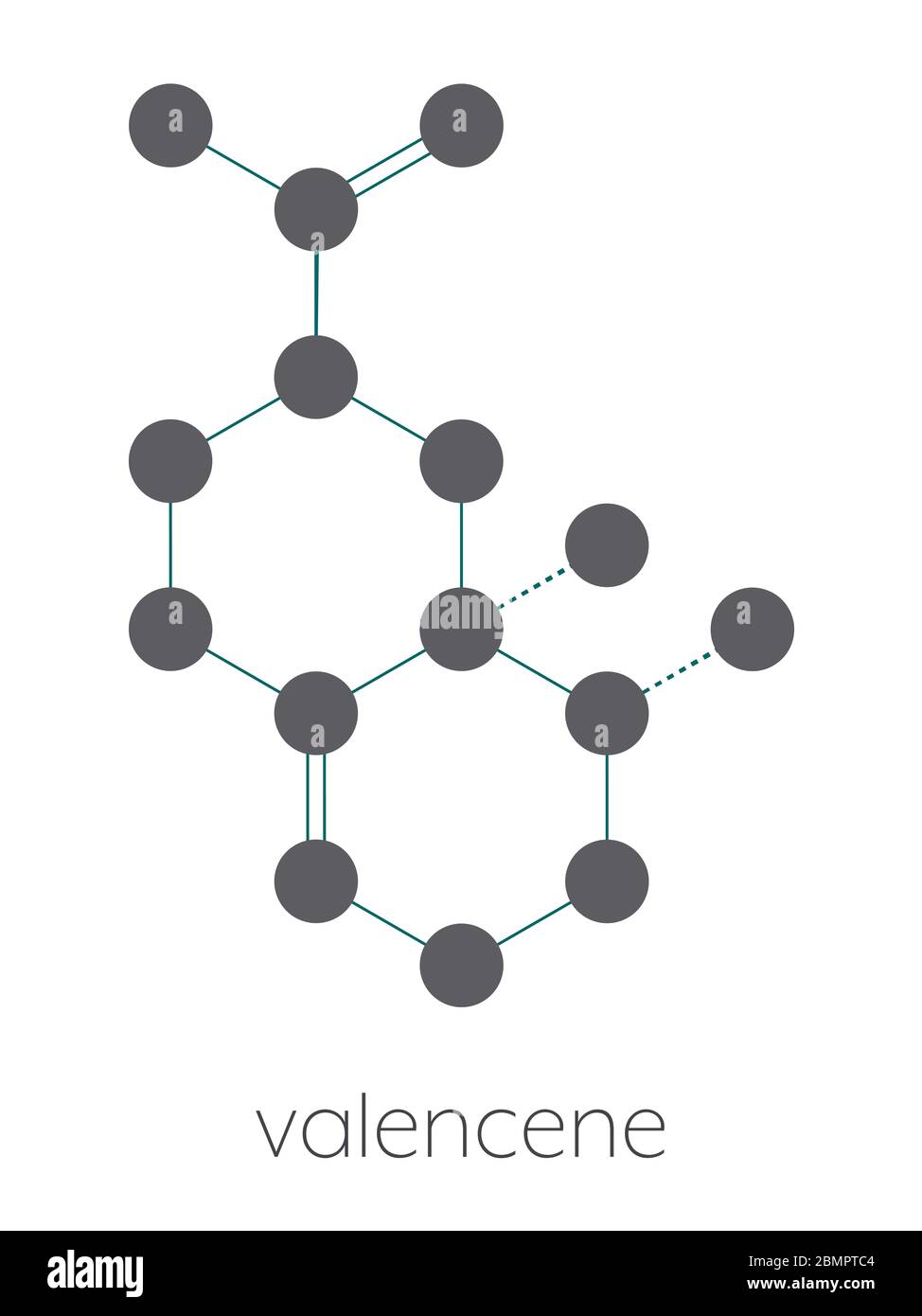 Valencene citrus fruit aroma molecule. Stylized skeletal formula ...