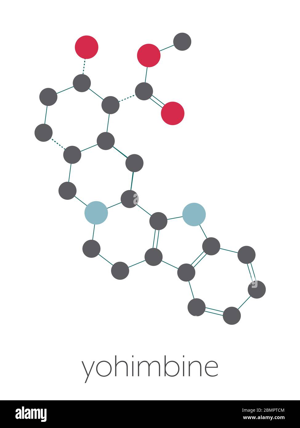 Yohimbine tree hi-res stock photography and images - Alamy