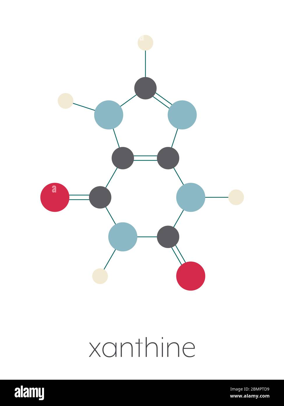 Xanthine purine base molecule. Stylized skeletal formula (chemical ...