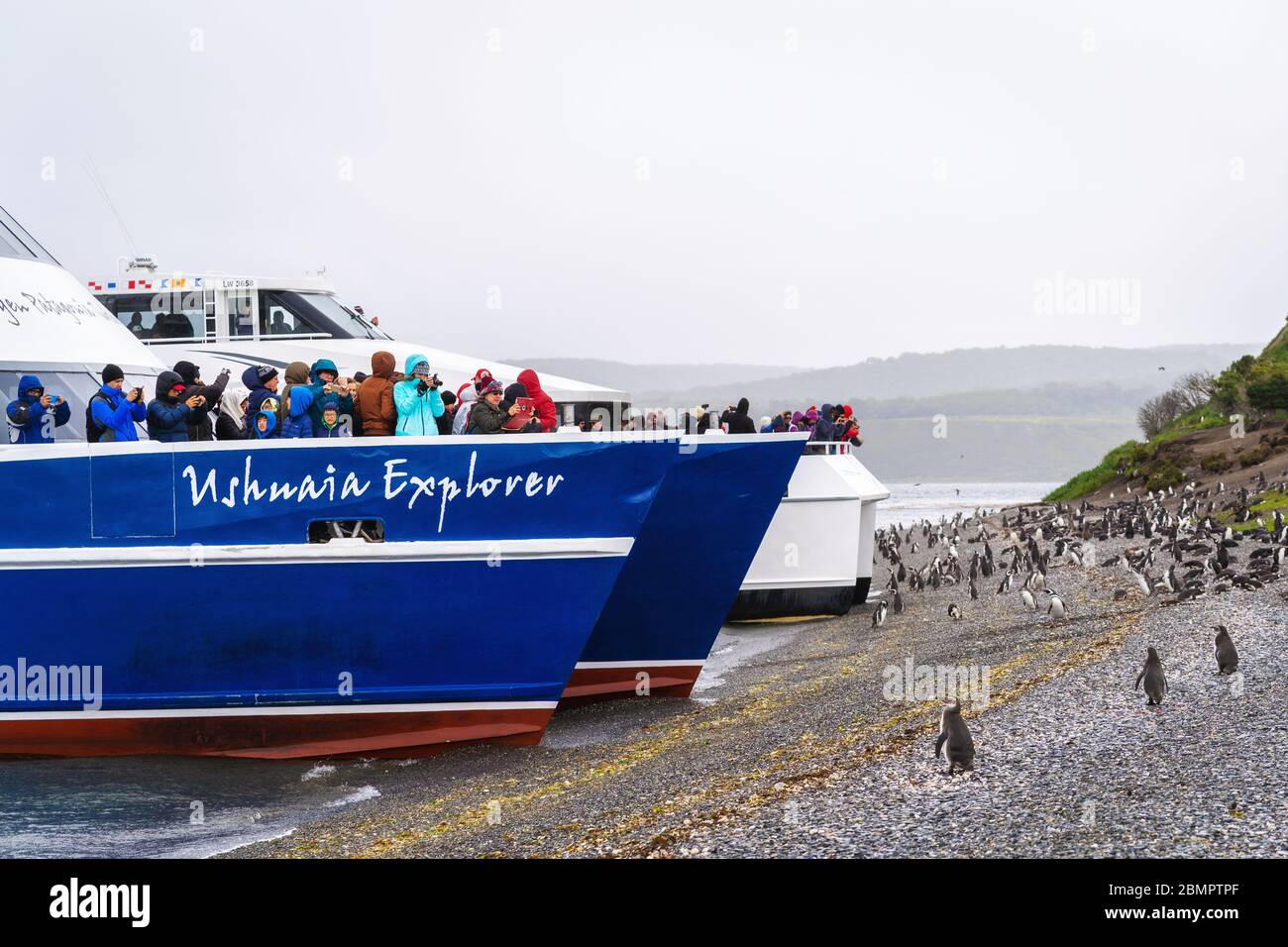 Tourist boats arrive at Martillo Island, famous for its Magellan ...