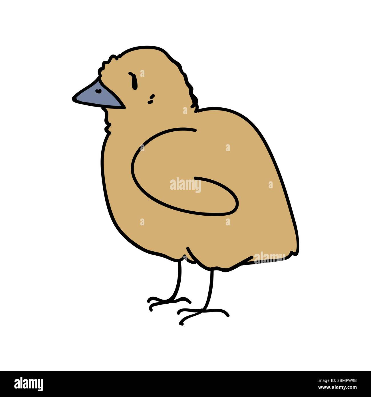 Cute french farmhouse baby chick vector clipart. Hand drawn rustic ...