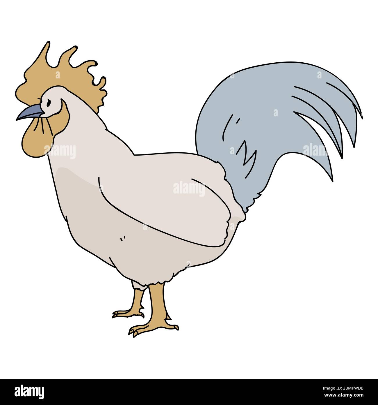 Cute french farmhouse cockerel vector clipart. Hand drawn rustic style ...