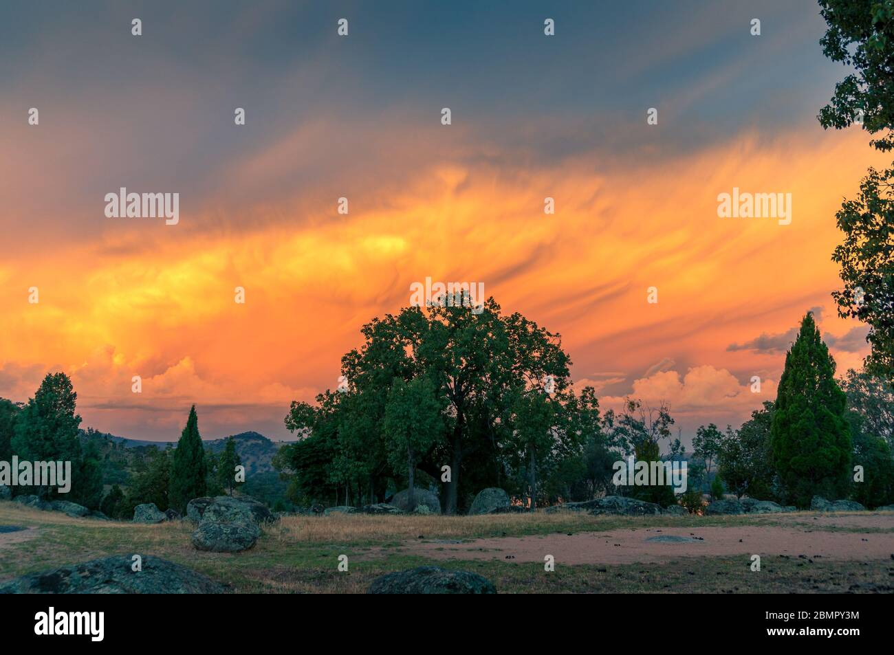 Countryside sunset landscape with tree and colorful sky on the ...