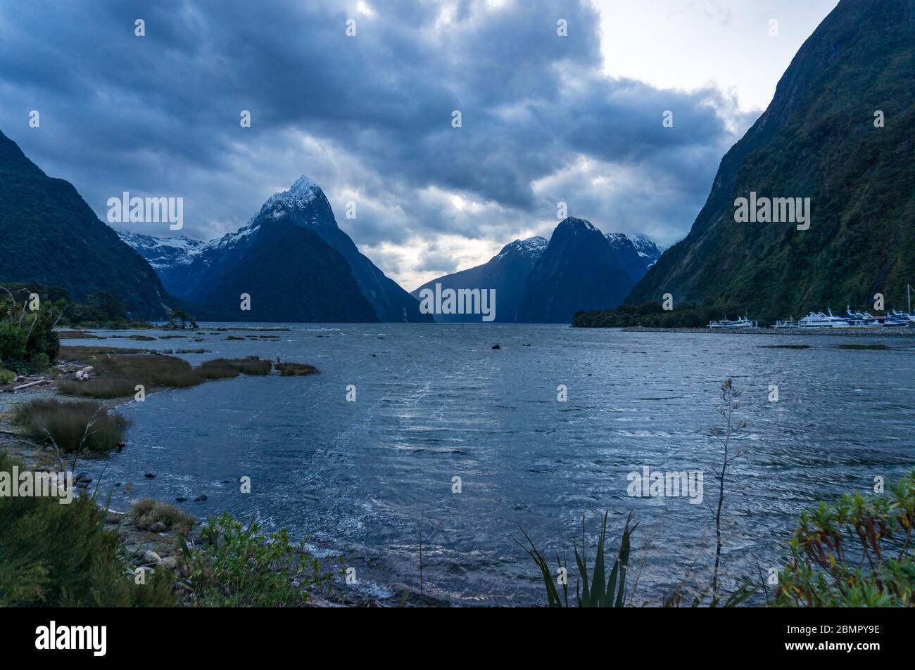 Blue hour mountain fjords landscape. Milford Sound nature background ...
