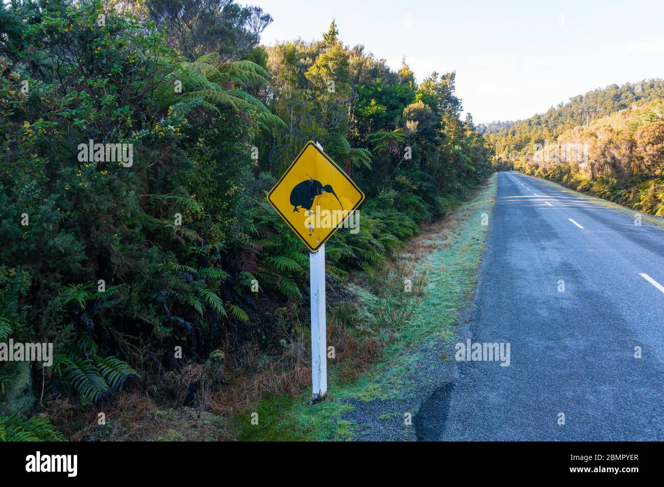 Yellow road sign with silhouette of kiwi bird. Native species crossing ...