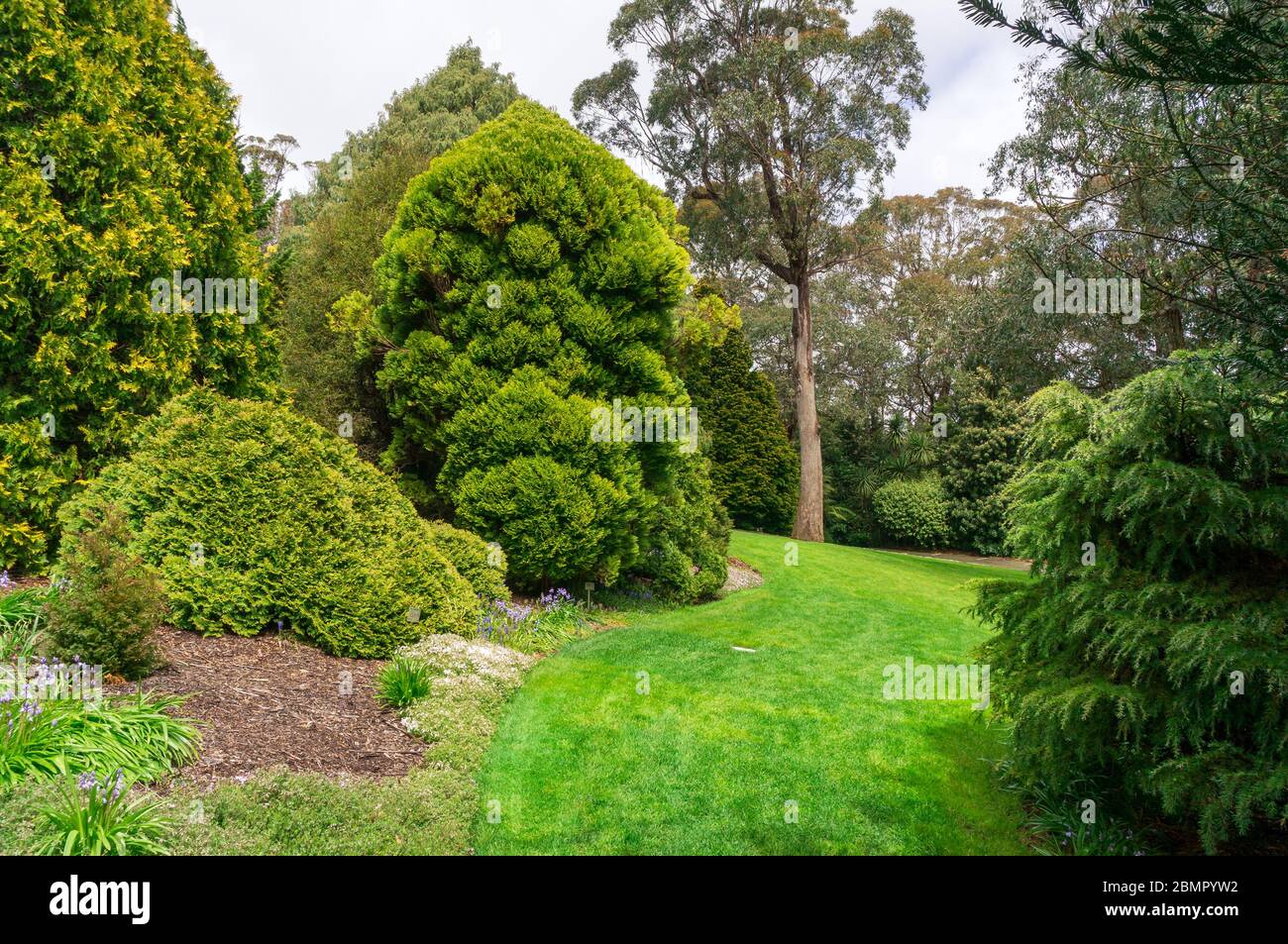 Park, outdoors scene with green grass path, walkway Stock Photo - Alamy