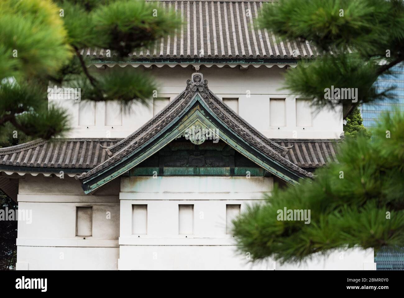 Traditional Japanese style architecture with green pine trees on the ...