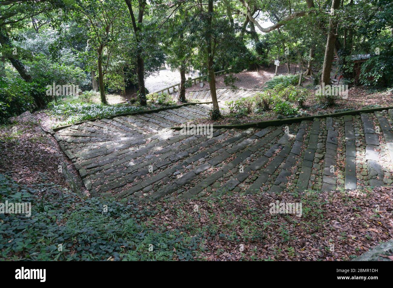Hiking path with stairs in the forest, public park. Shizuoka, Japan ...