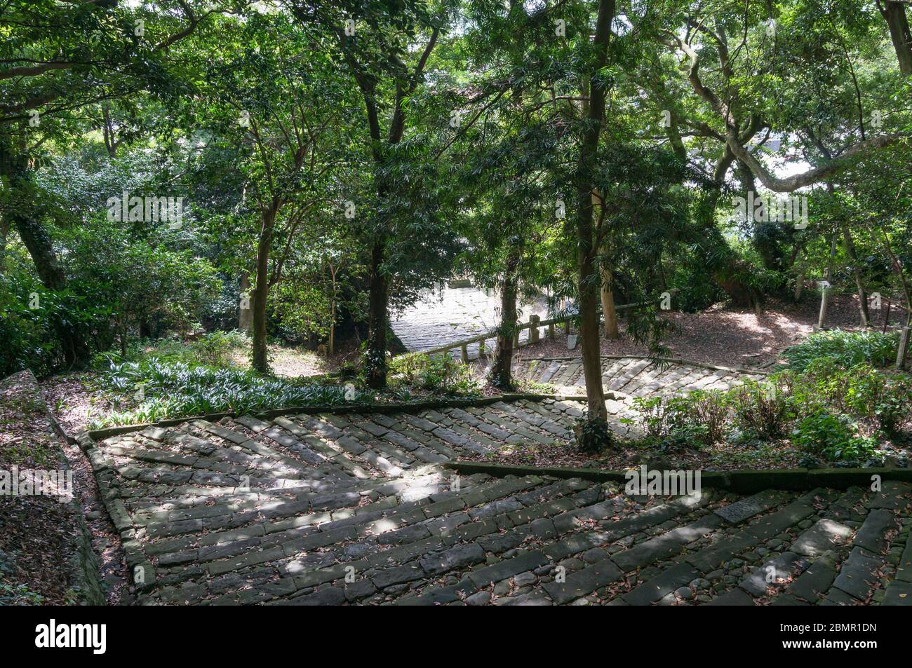 Hiking path with stairs in the forest, public park. Shizuoka, Japan ...