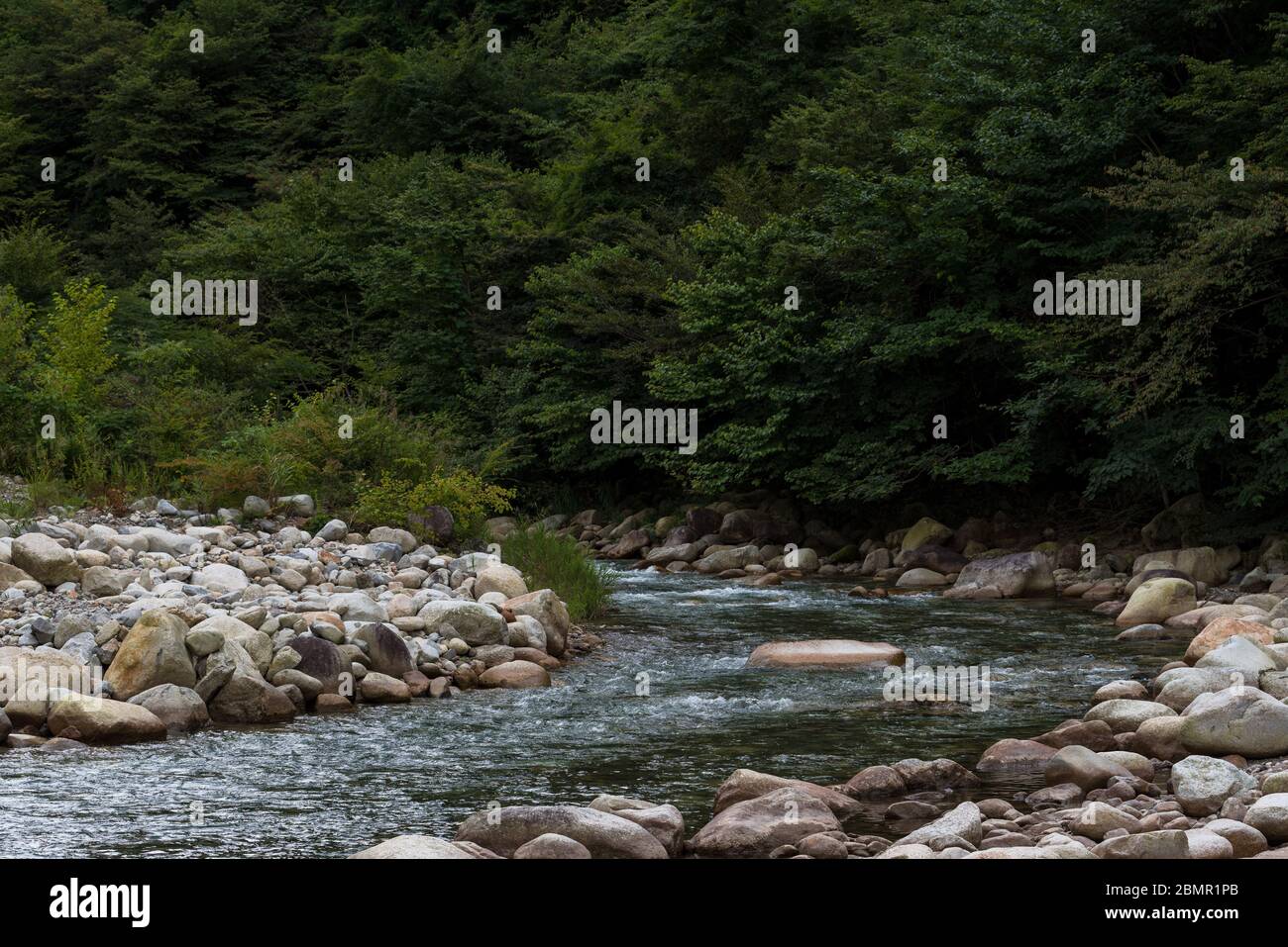 Rapid mountain stream stones hi-res stock photography and images - Alamy
