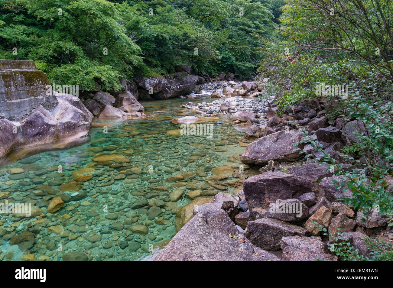 Forest river landscape with fresh clear water and rocks, boulders ...