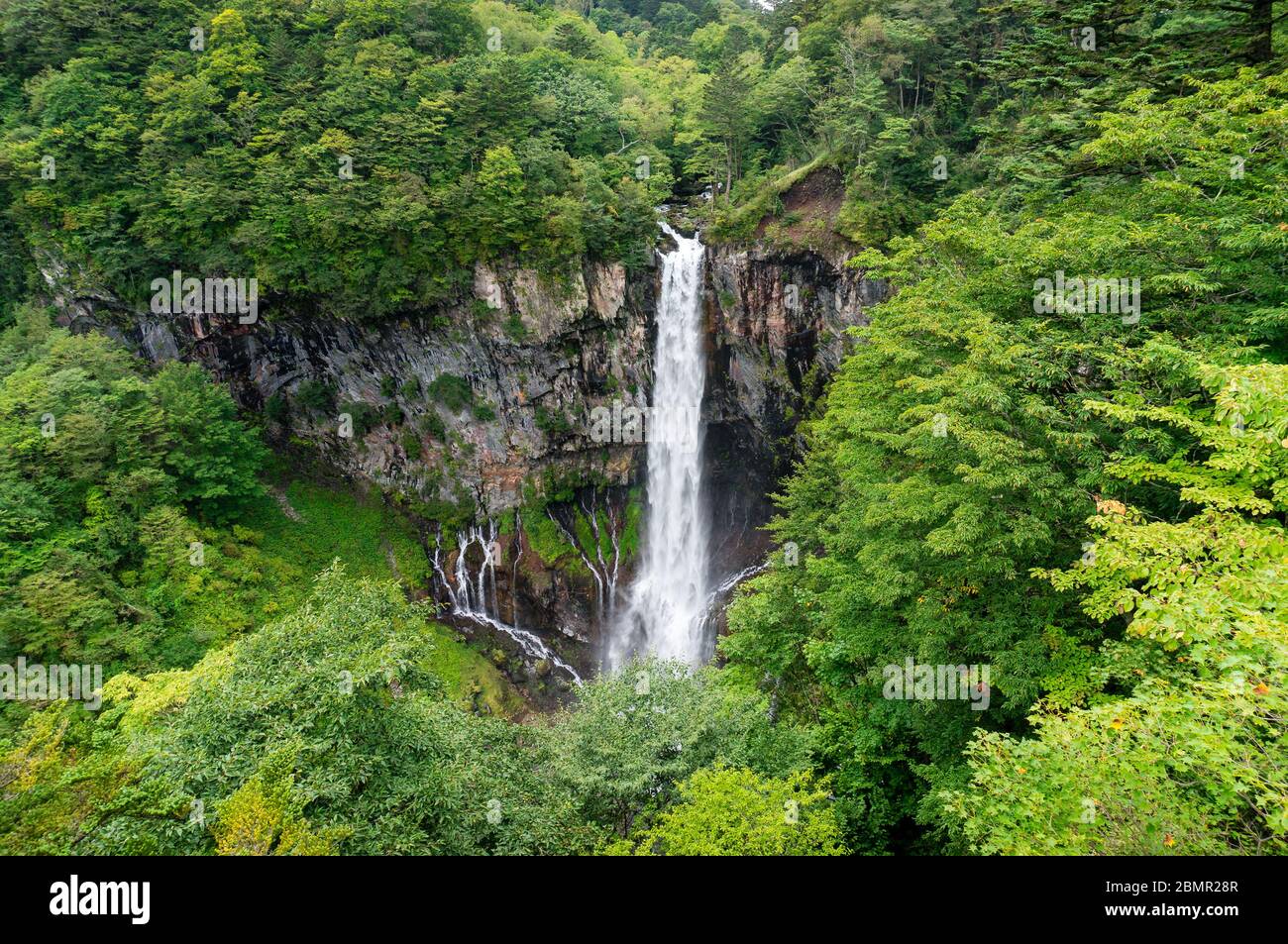 Waterfall in the green summer forest landscape. Kegon falls in Nikko ...