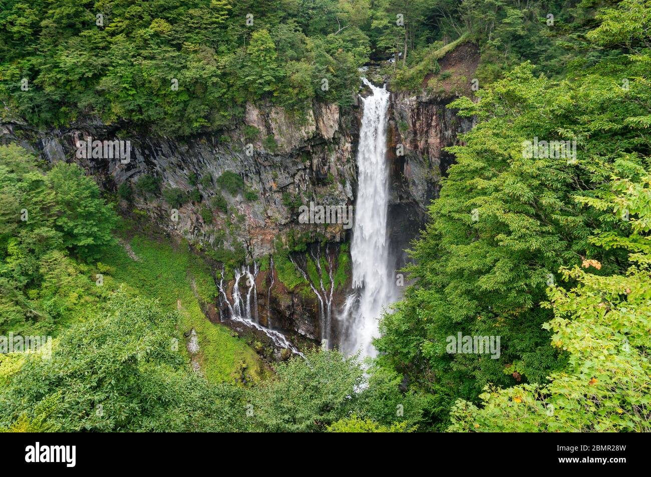 Waterfall in the green summer forest landscape. Kegon falls in Nikko ...