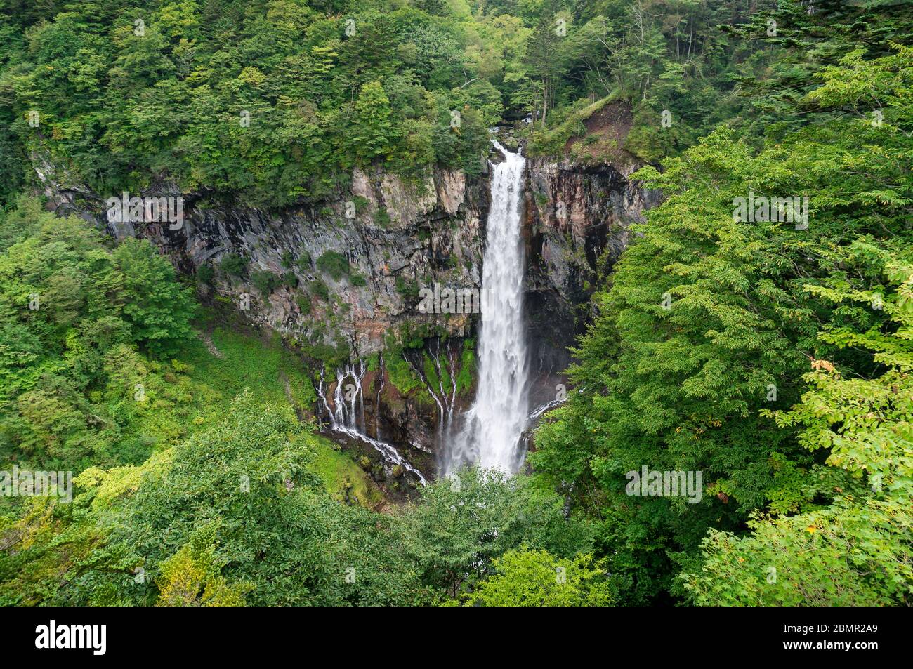 Waterfall in the green summer forest landscape. Kegon falls in Nikko ...