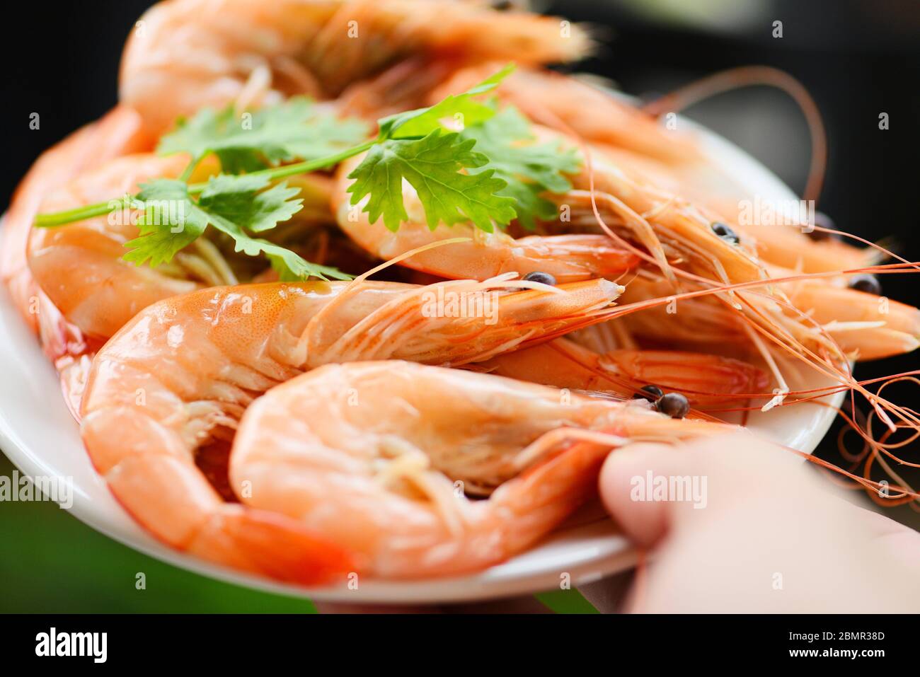 cooking seafood shrimps prawns served with nature background / fresh ...