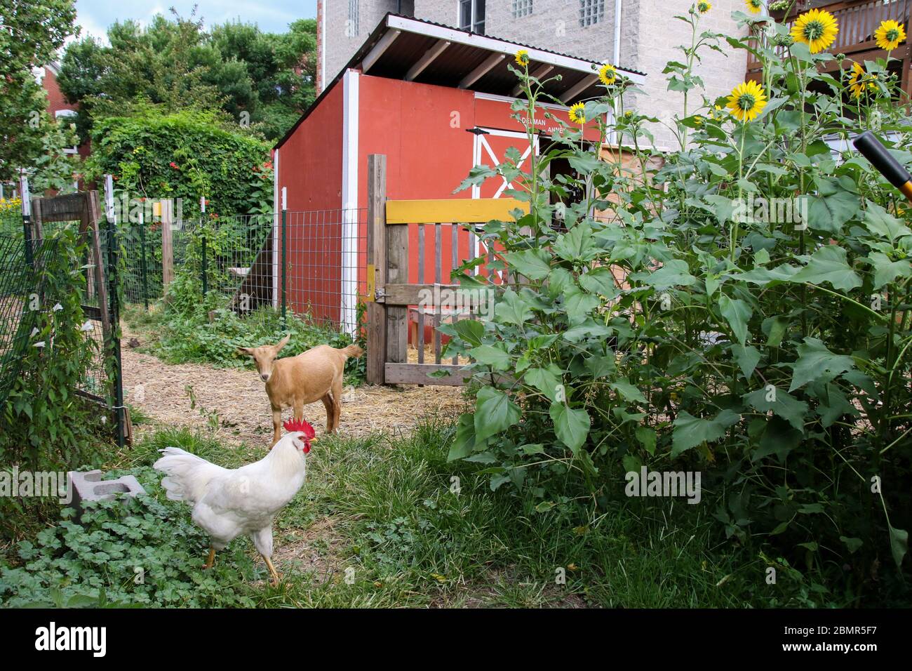 Bucktown hi-res stock photography and images - Alamy