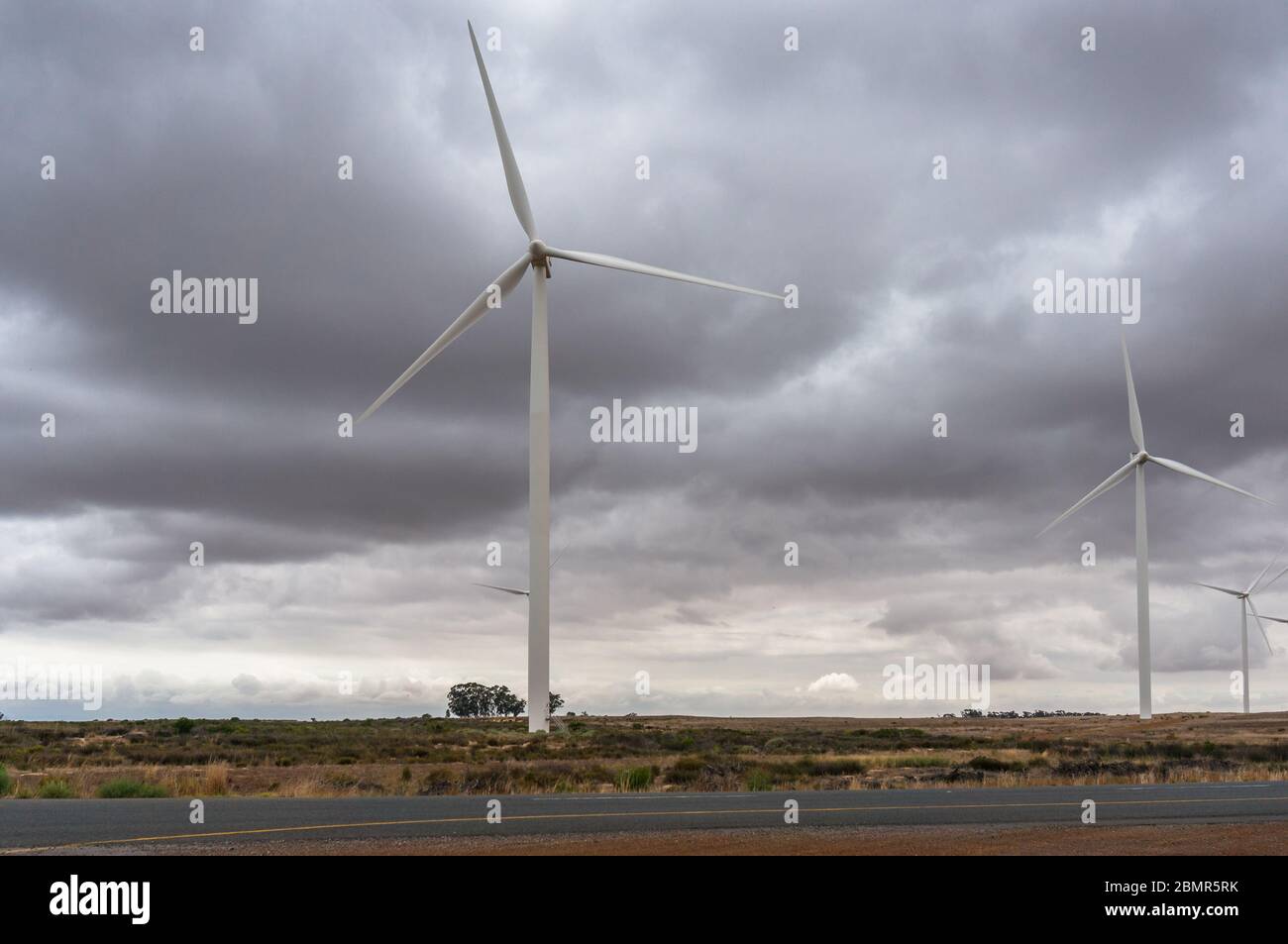 Wind farm with wind turbines windmills generating sustainable ...
