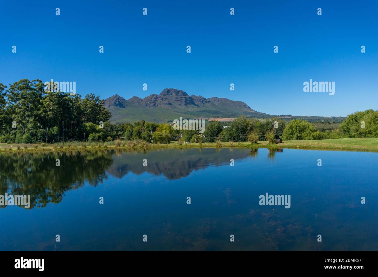 Beautiful scenery in stellenbosch hi-res stock photography and images ...
