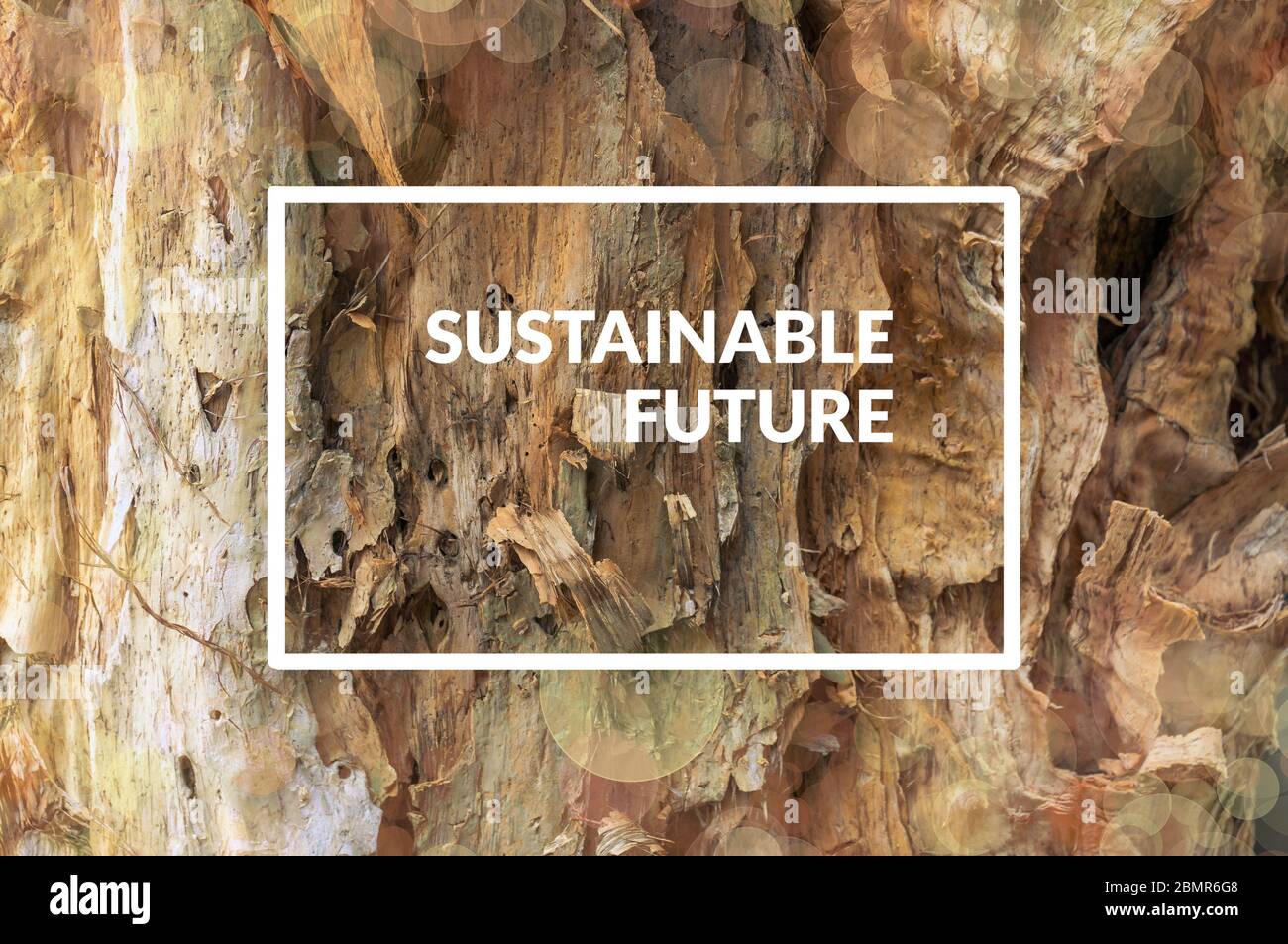 Sustainable Future poster, flyer design with old tree bark texture ...