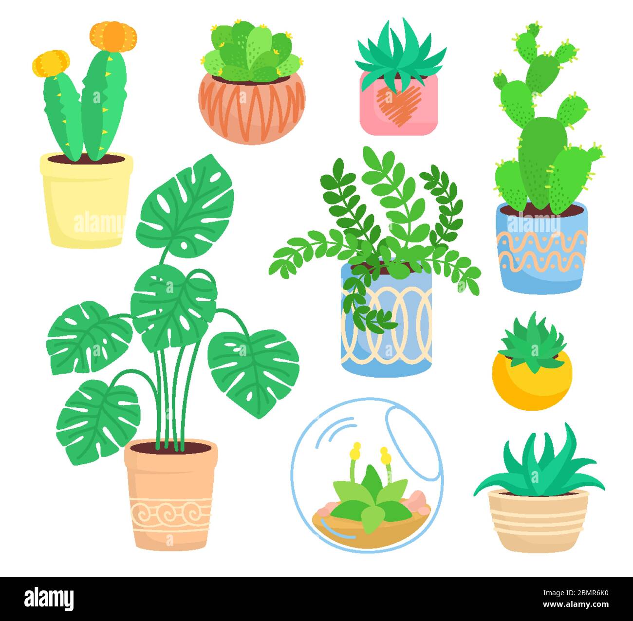 House indoor plant, potted ceramic set, flat cartoon flower. Succulents ...